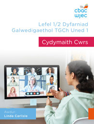 Dyfarniad Galwedigaethol Lefel 1/2 TGCh